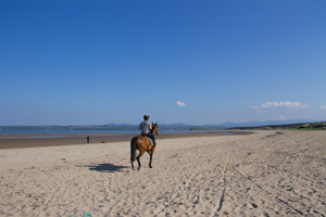 Visit Murvagh Beach with Discover Ireland