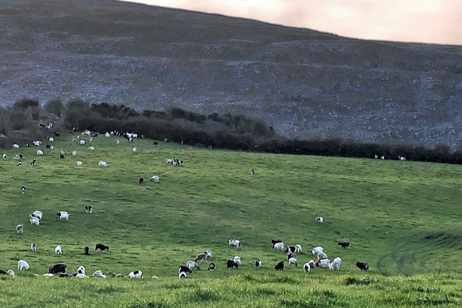 Visit Burren Explore with Discover Ireland