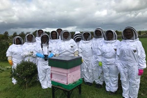 Visit Leahy Beekeeping with Discover Ireland