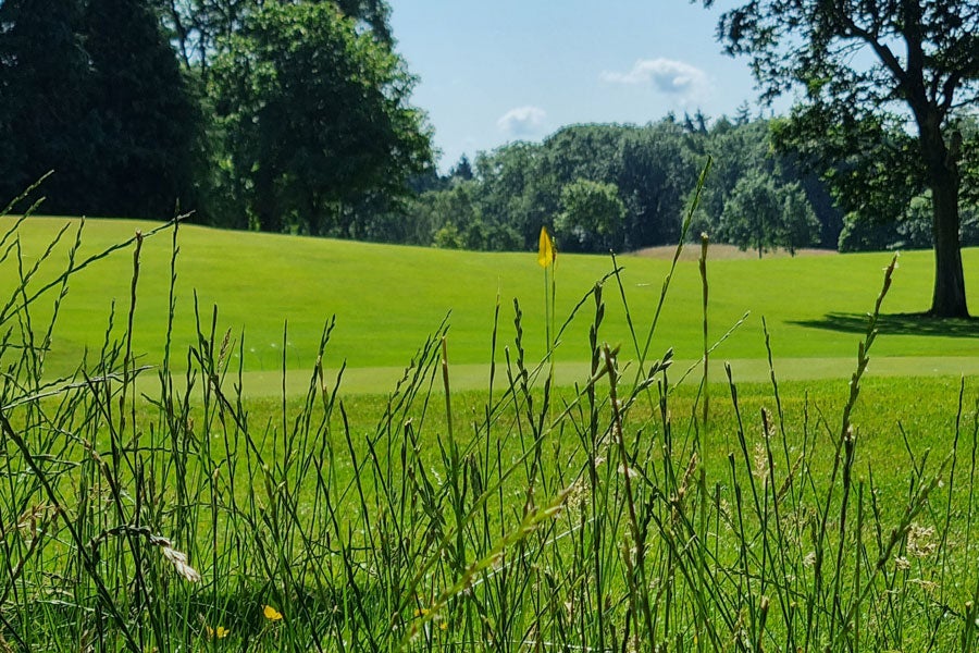 Visit Portumna Golf Club with Discover Ireland