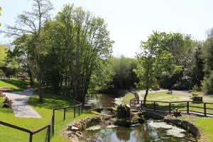 Stay with Trabolgan Holiday Village