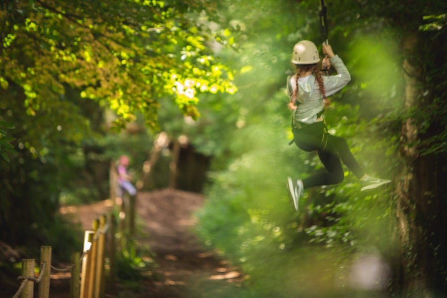 Visit Squirrel's Scramble Tree Adventure Park with Discover Ireland