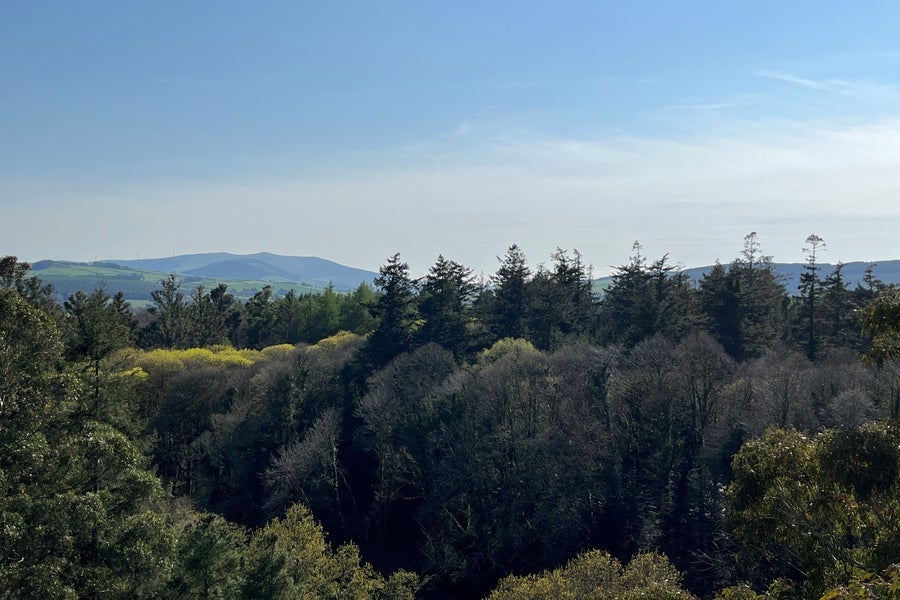 Visit Beyond the Trees Avondale with Discover Ireland