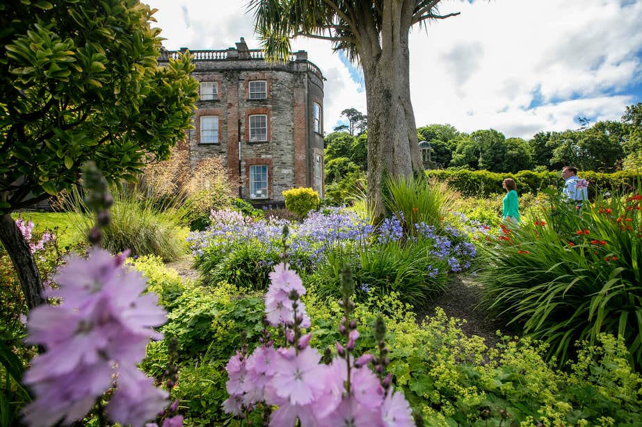 Top Irish Summer Gardens to Visit with Discover Ireland