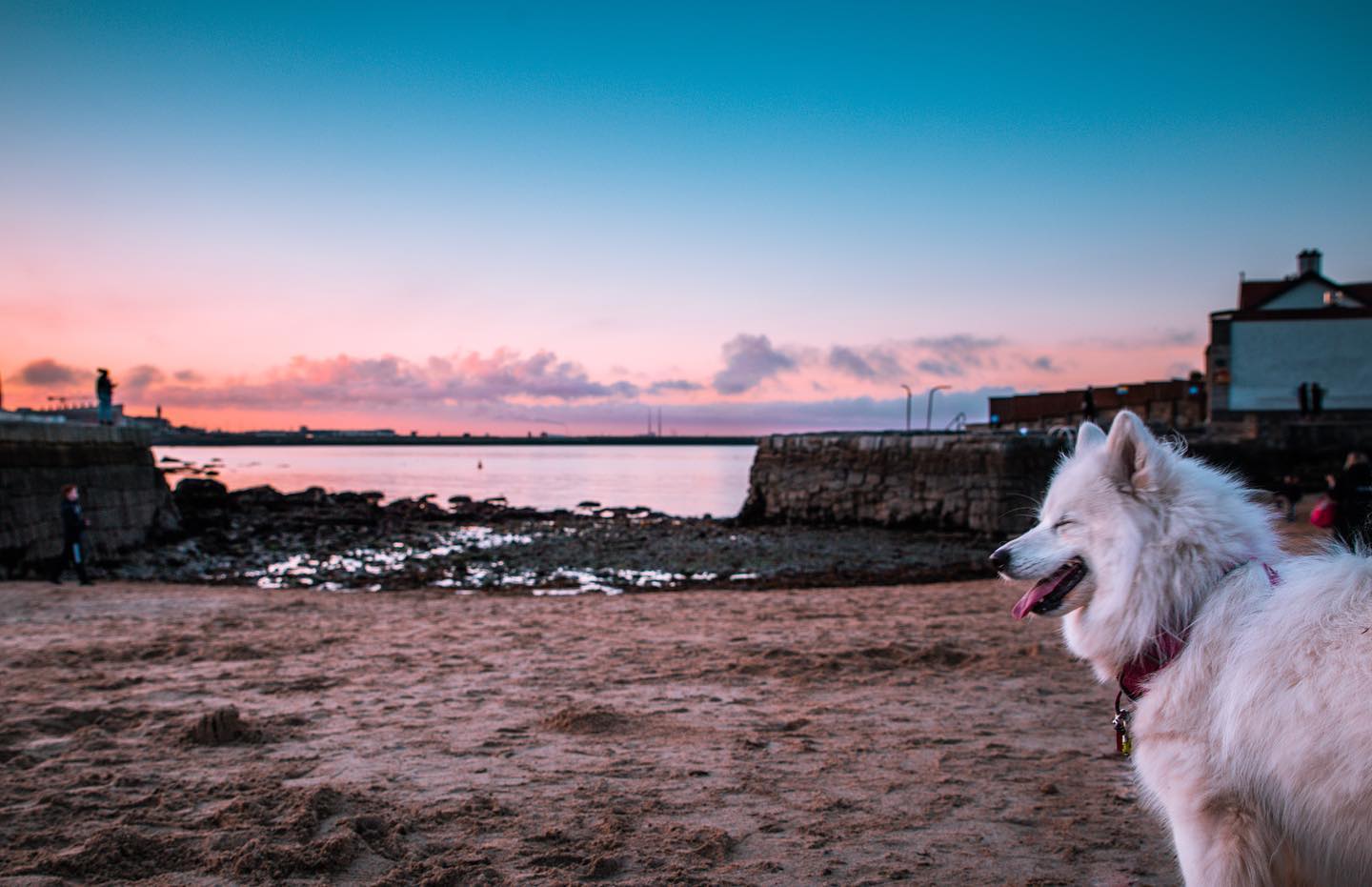 Discover The 10 Best Beaches in Dublin with Visit Dublin