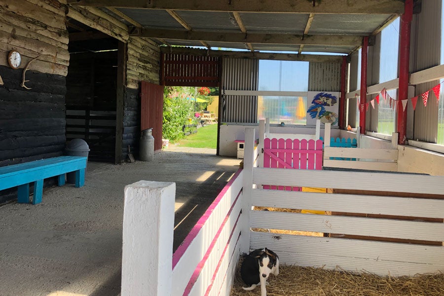 Visit Shrule Pet Farm with Discover Ireland