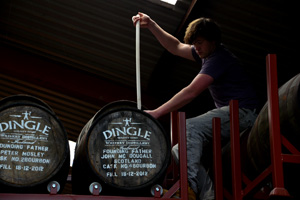 Visit The Irish Whiskey Trail with Discover Ireland