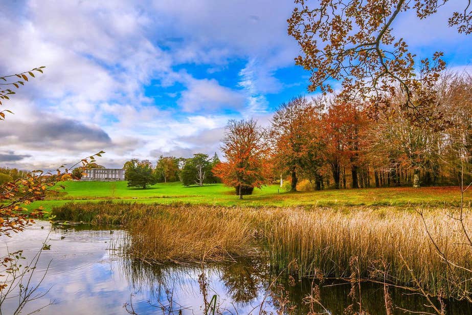 Go for a Forest Walk with Discover Ireland