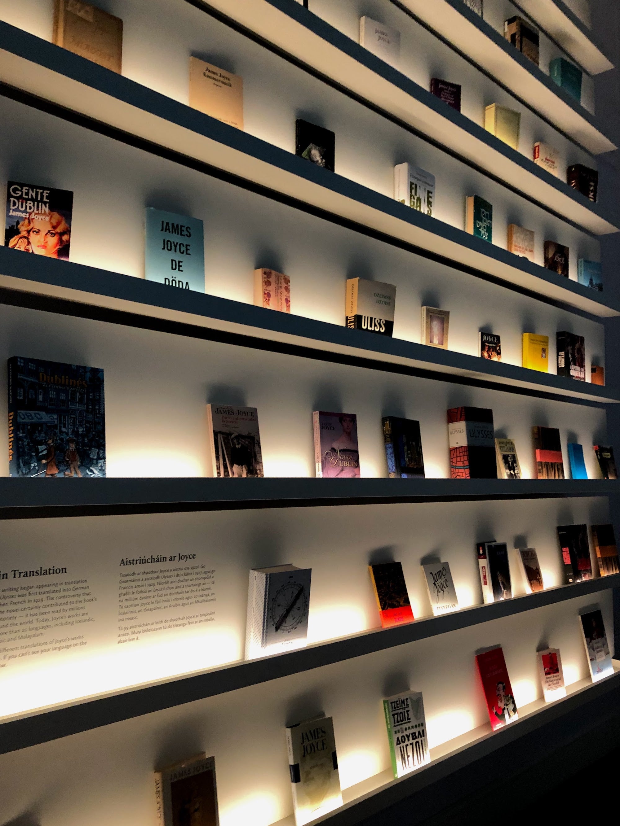 Best Bookshops in Dublin with Visit Dublin