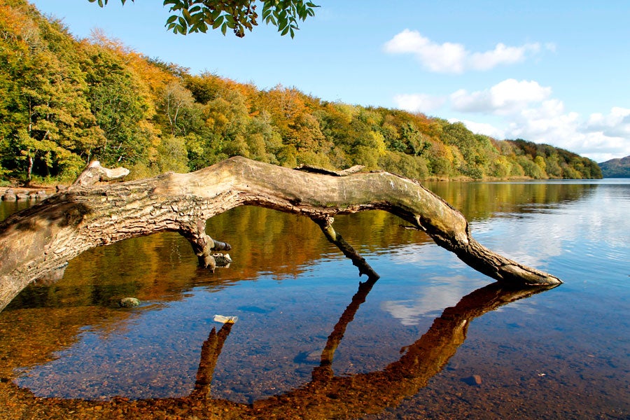 Visit Hazelwood Forest with Discover Ireland