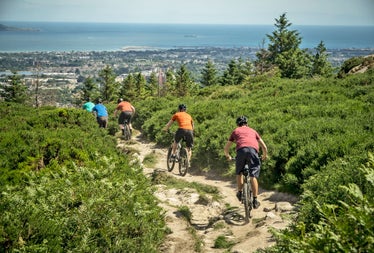 Biking.ie Ticknock Mountain Bike Trail