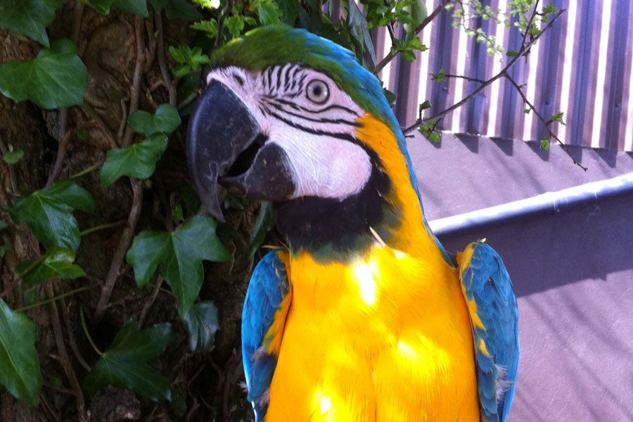 Visit Glendeer Open Pet Farm with Discover Ireland