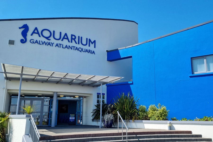 Visit Galway Atlantaquaria with Discover Ireland
