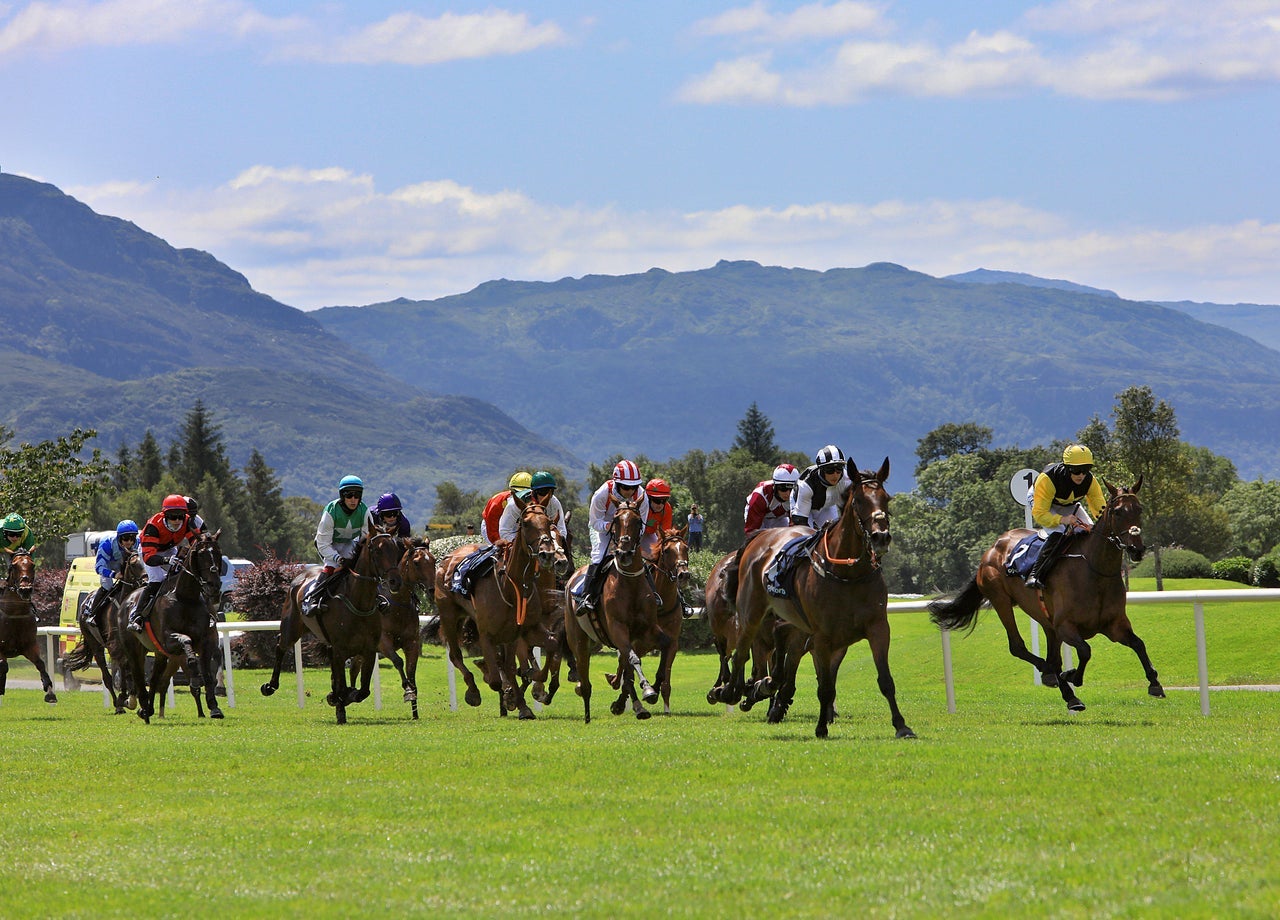 Visit Killarney Racecourse with Discover Ireland