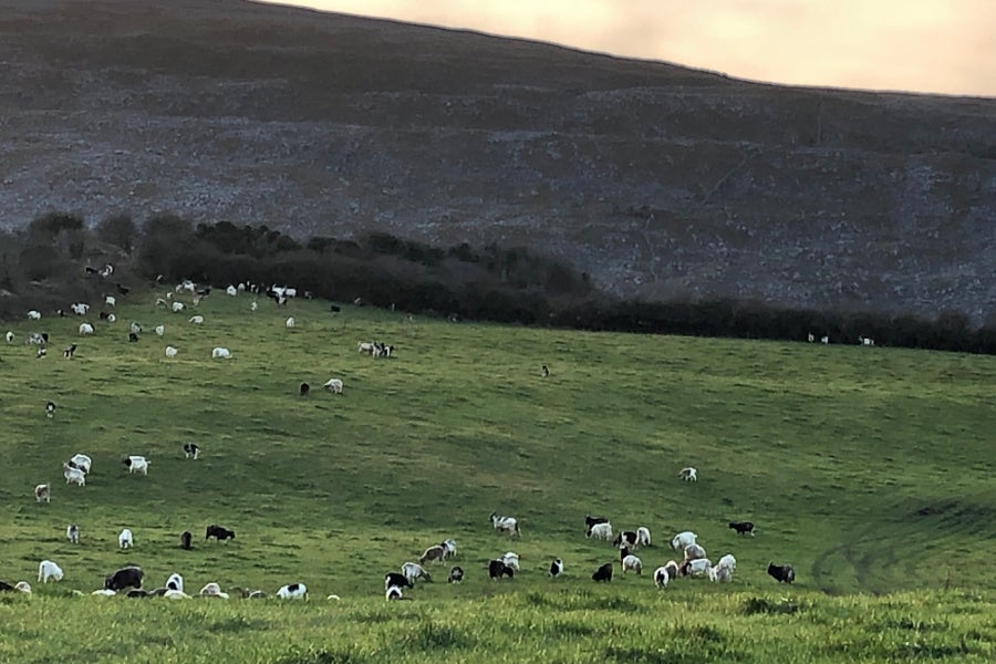 Visit Burren Explore with Discover Ireland