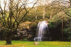 Visit Kilfane Glen and Waterfall with Discover Ireland