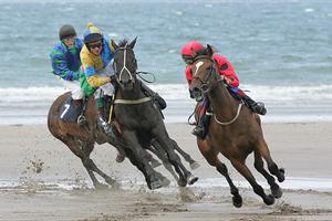 Visit Horse Racing Ireland with Discover Ireland