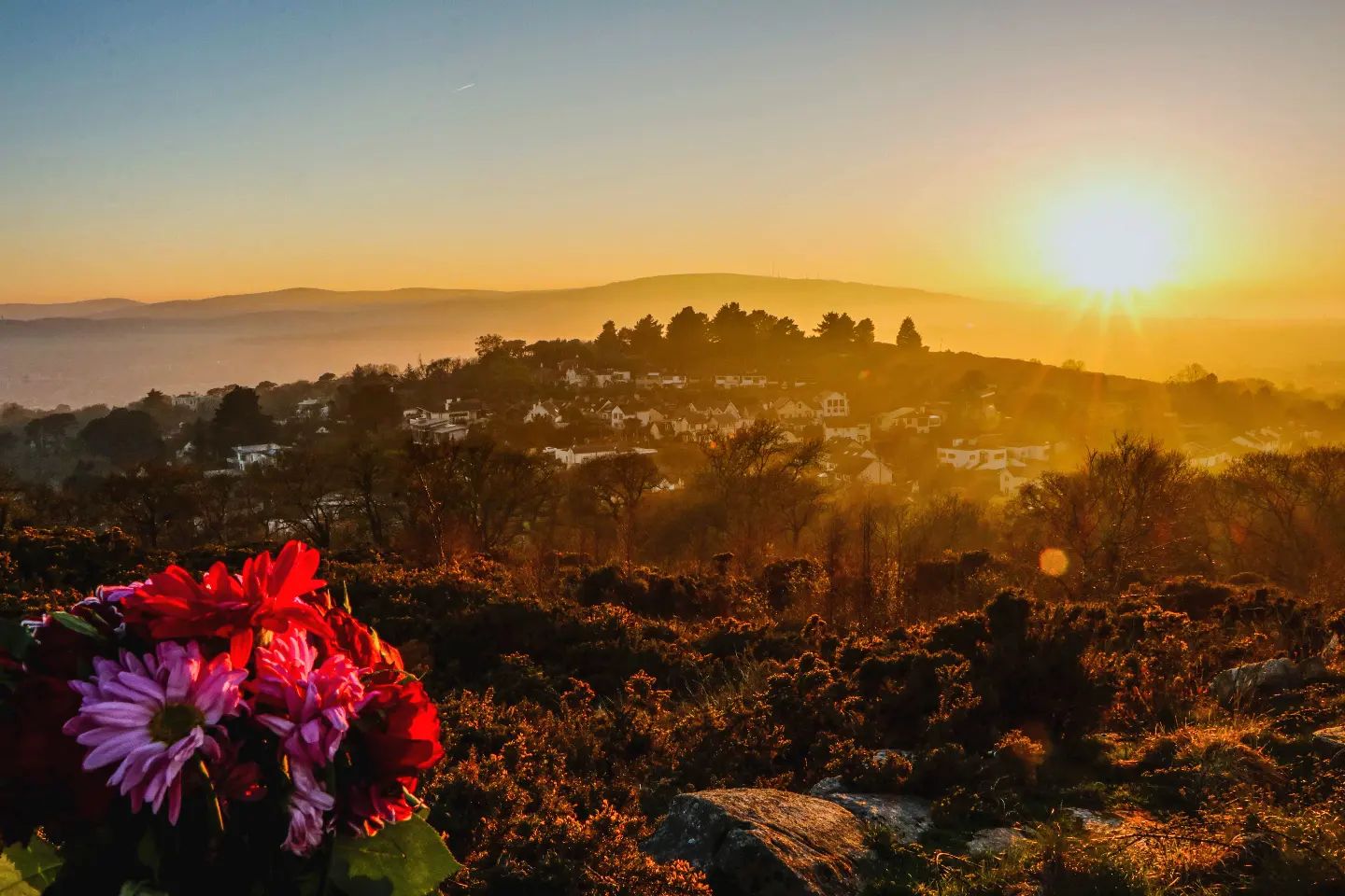 The Seven Best Views in Dublin | Visit Dublin