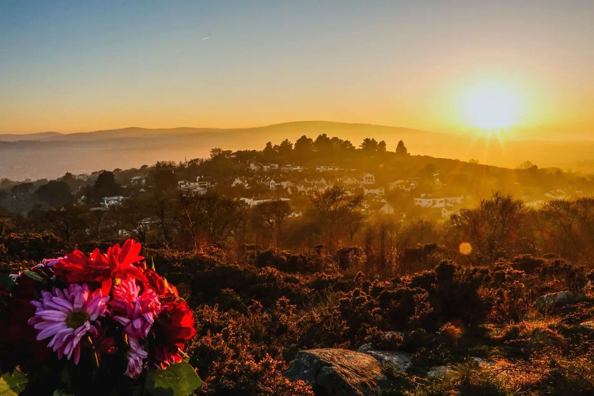The 7 Best Views in Dublin with Visit Dublin
