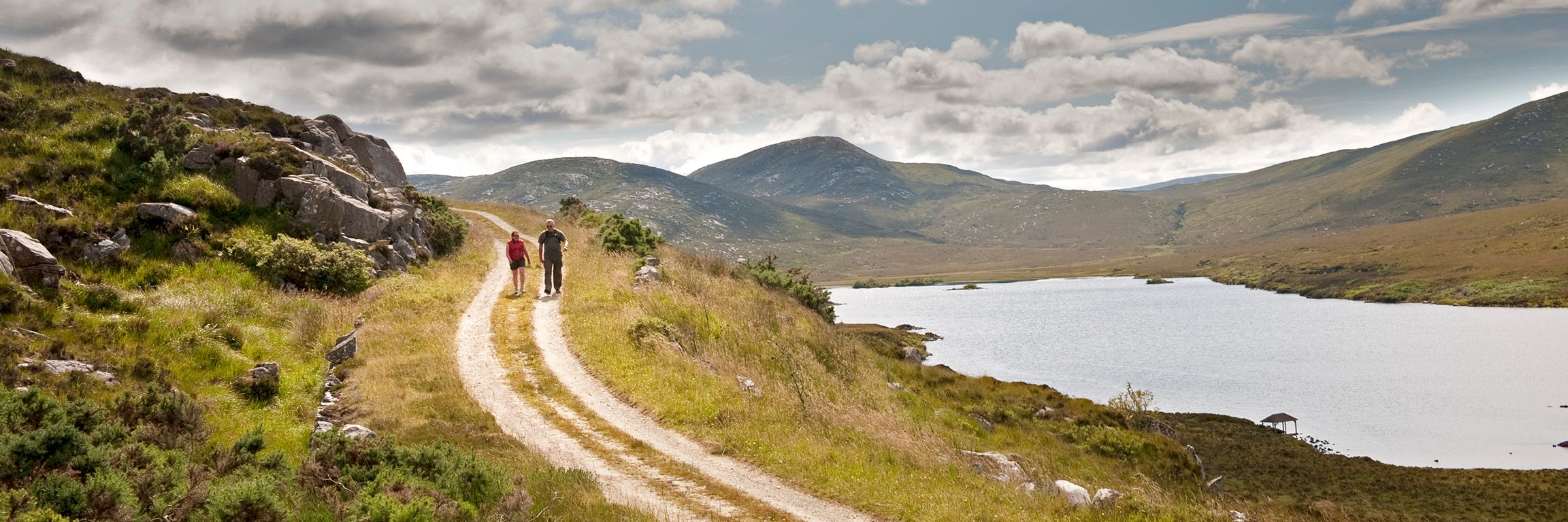 Discover Ireland Privacy Statement