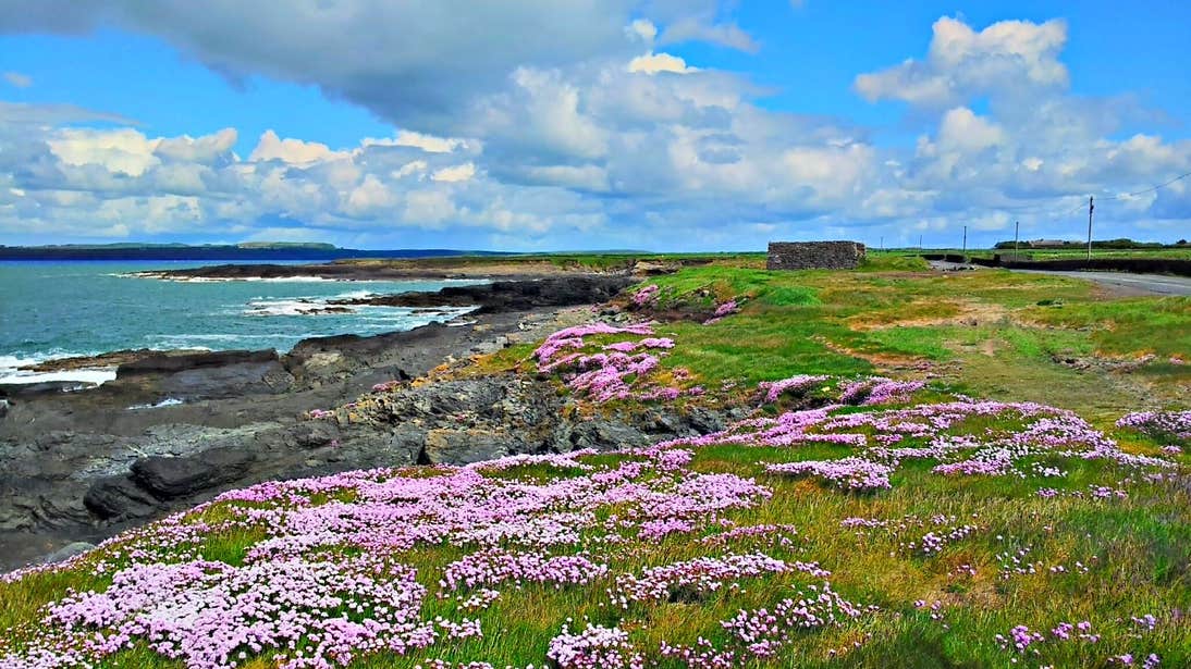 What to Do in Wexford on Your Next Short Break with Discover Ireland