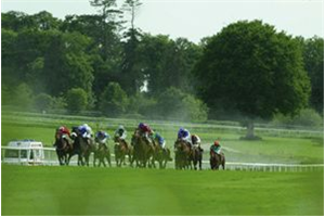 Visit Tipperary Racecourse with Discover Ireland