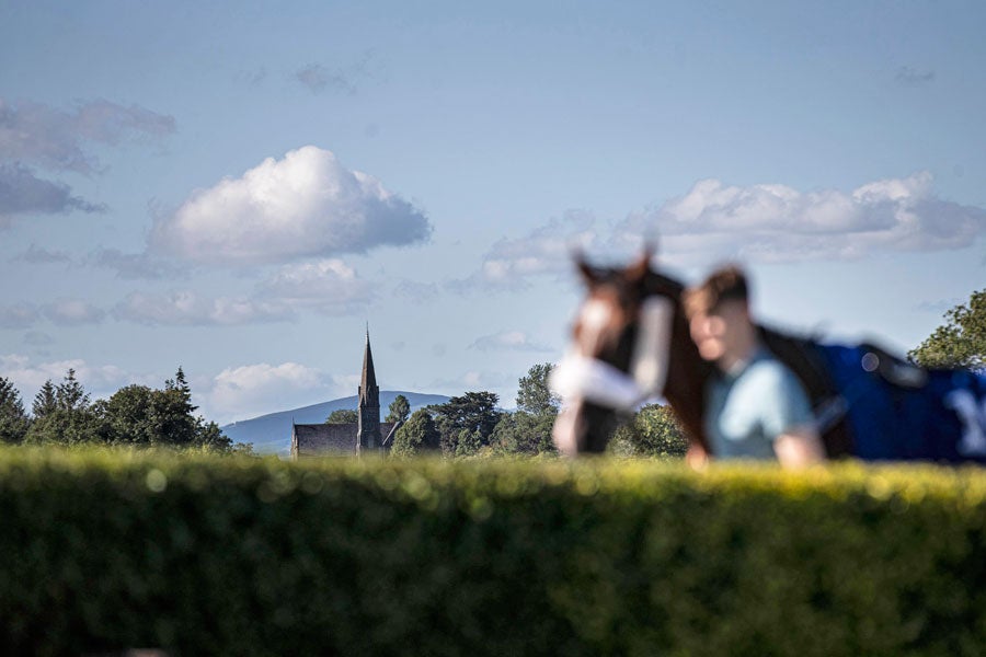 Visit Tipperary Racecourse with Discover Ireland