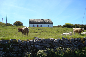 Visit Árainn - Inis Mór (Inishmore) with Discover Ireland