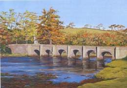 Visit Crana River and Fullerton Reservoir with Discover Ireland