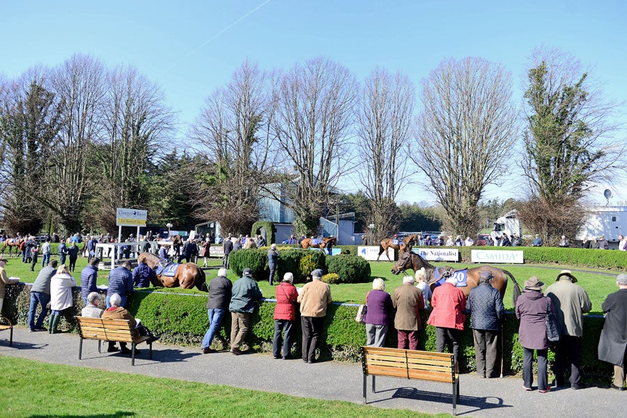 Visit Clonmel Racecourse with Discover Ireland