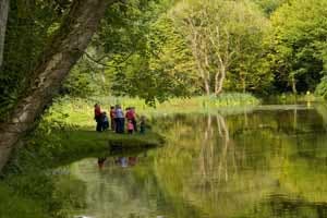 Visit Castlecomer Discovery Park and Visitor Centre with Discover Ireland