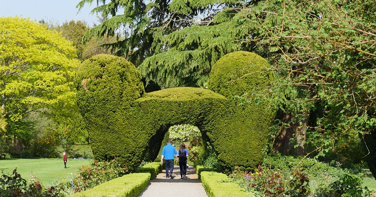 Experience the Things to Do in County Carlow with Discover Ireland