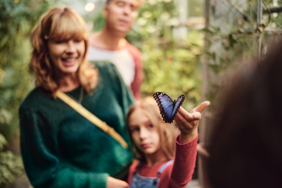 18 Family Things to Do at Easter in Dublin