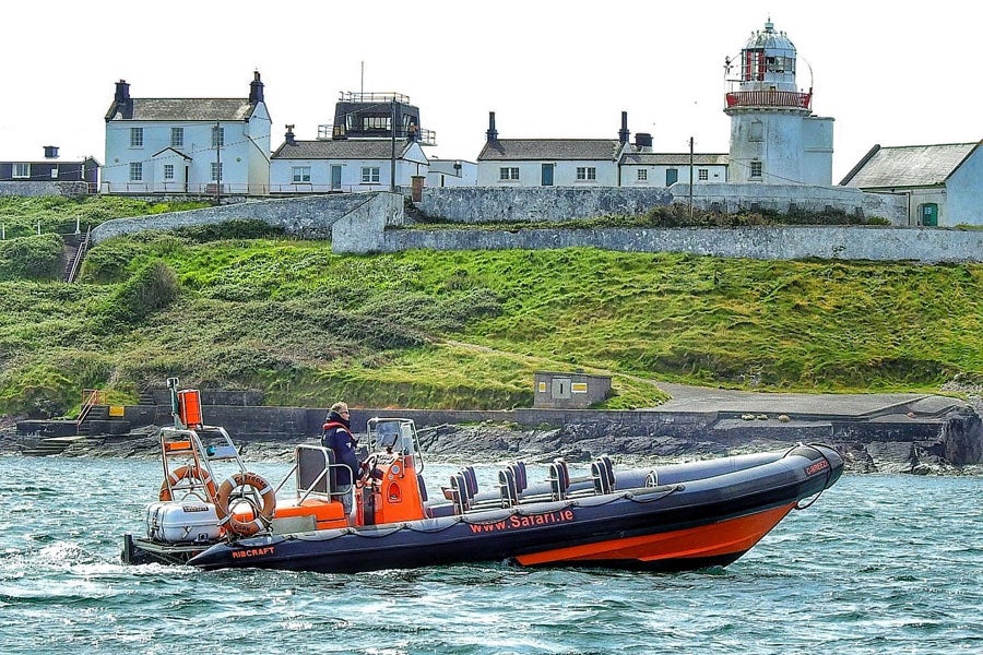 Visit Cork Sea Safari with Discover Ireland