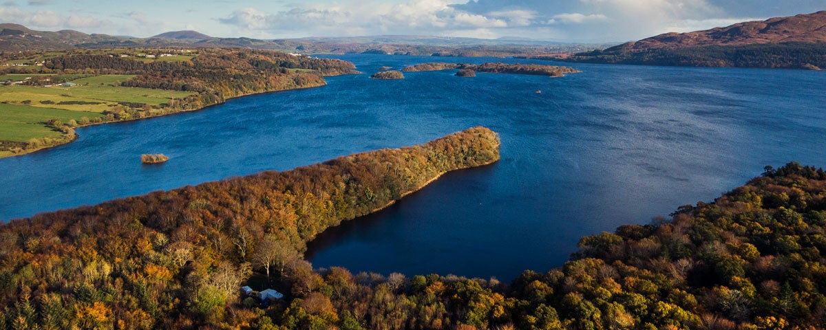 Visit Hazelwood Forest with Discover Ireland
