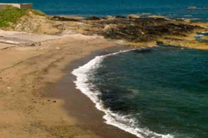 Experience Dublin's Nature & Wildlife with Visit Dublin