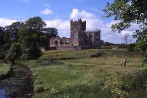 Visit Tintern Abbey with Discover Ireland