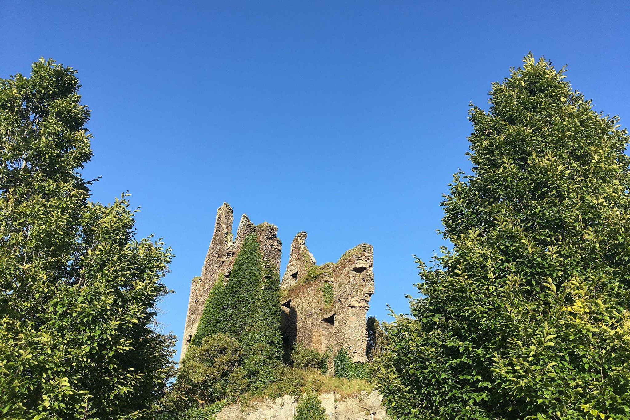 Experience Energetic Castletroy with Discover Ireland
