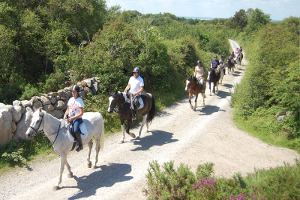 Visit Moycullen Riding Centre with Discover Ireland