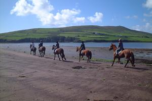 Visit Dingle Horse Riding with Discover Ireland