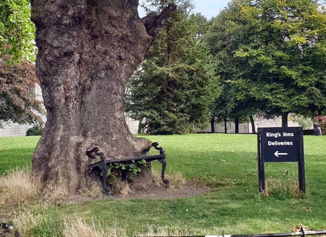 Uncover the Most Quirky & Unique Things to Do in Dublin