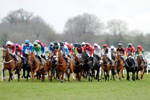Visit Cork Racecourse Mallow with Discover Ireland