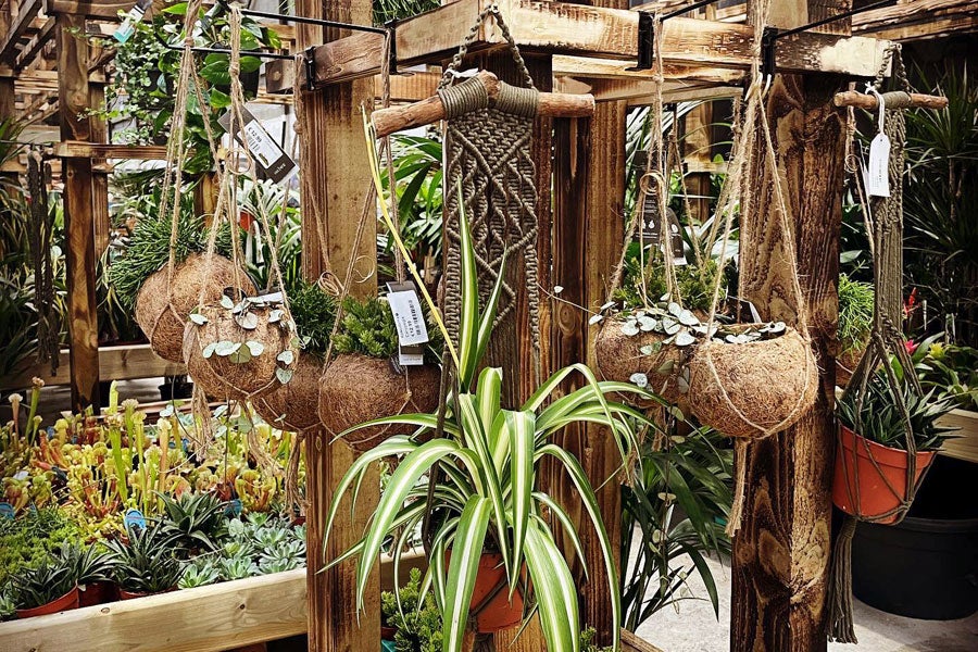 Visit Solas Eco Garden Centre with Discover Ireland