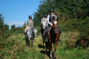 Visit Oakwood Stables Equestrian Centre with Discover Ireland