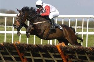 Visit Thurles Racecourse with Discover Ireland