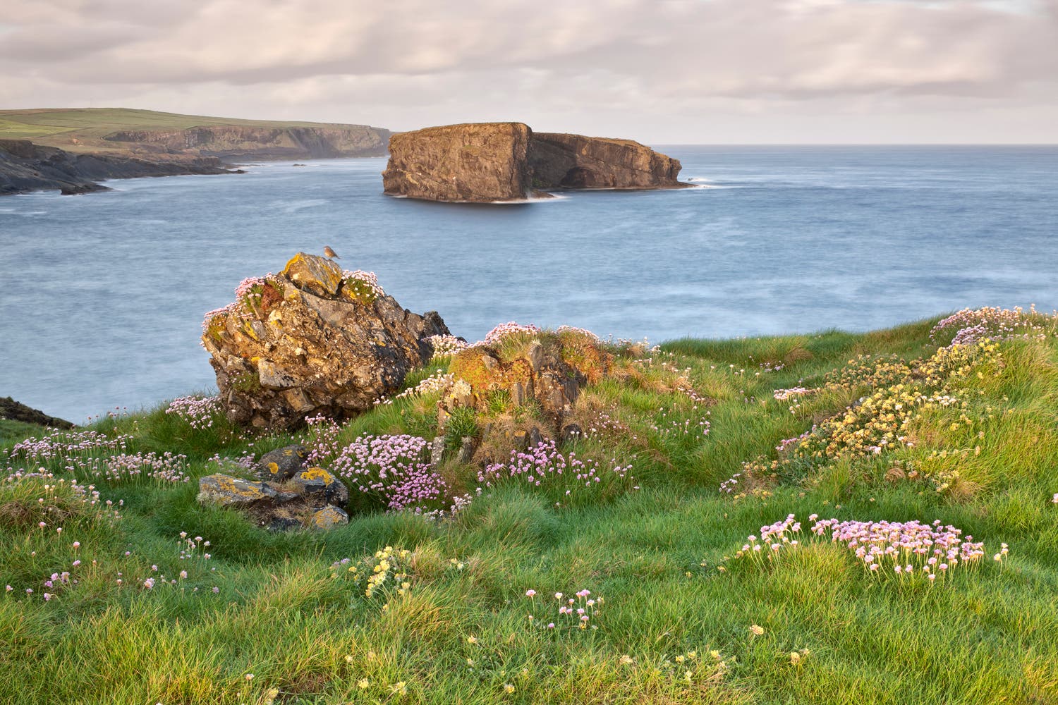 Visit Loop Head Walking Tours with Discover Ireland