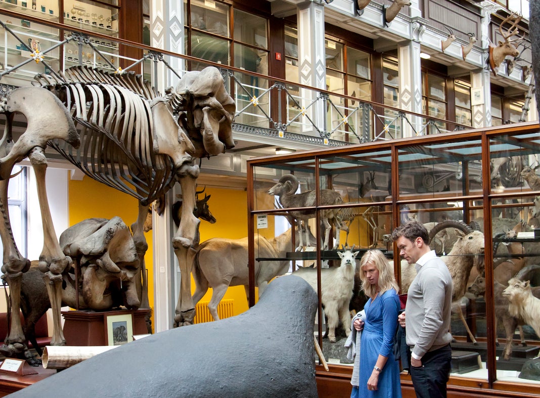10 Free Museums to Visit in Dublin