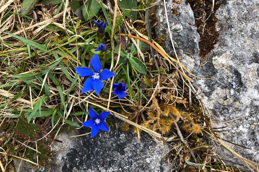 Visit Burren Explore with Discover Ireland