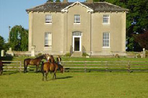 Visit Crossogue Equestrian Centre with Discover Ireland