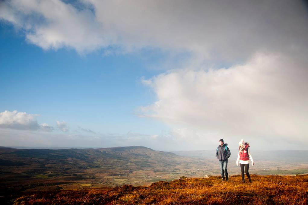 Visit Discover The Wonderful World Of Bogs On International Bog Day ...